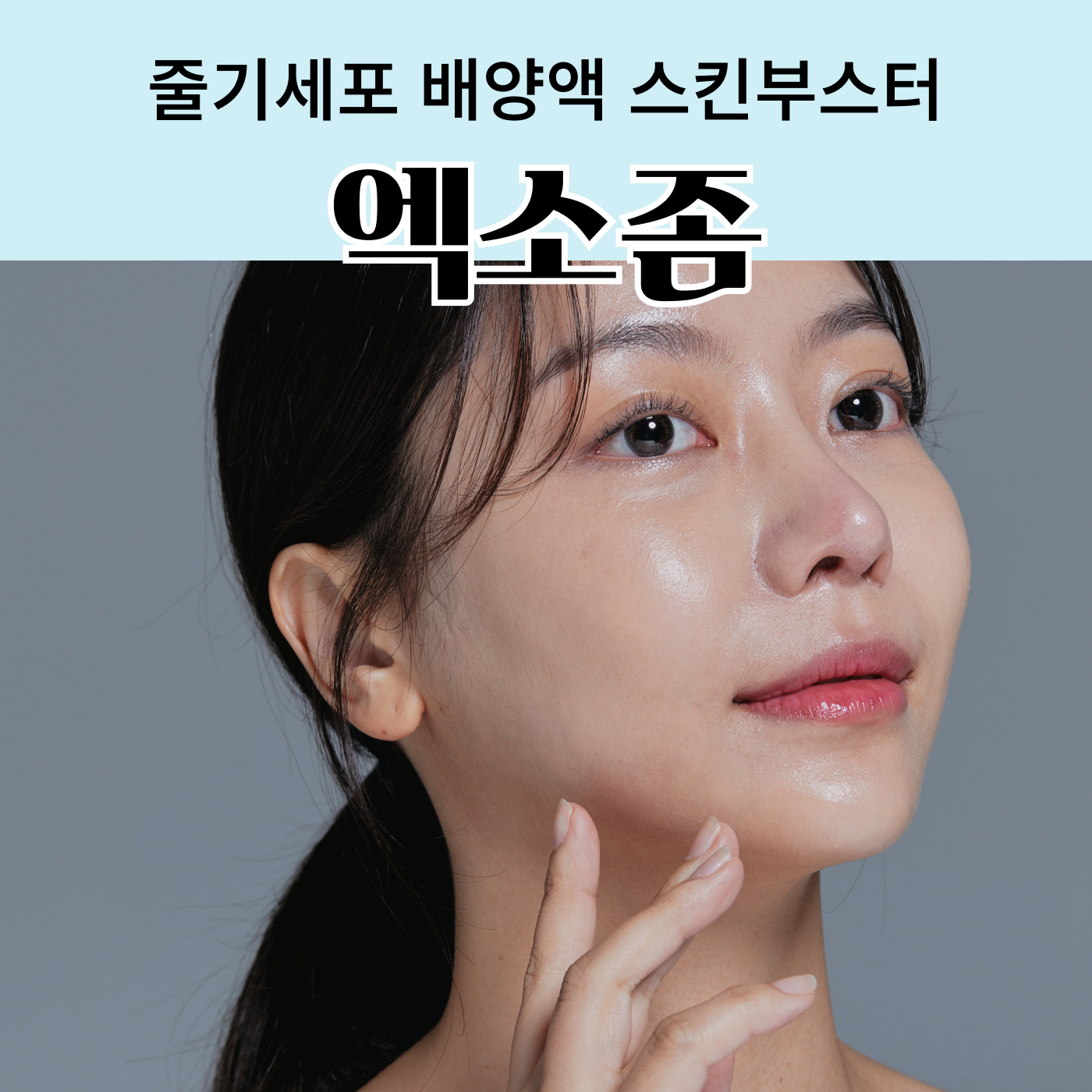 1인 원장 정품 정량 엑소좀asce 할인 가격 후기 전후 효과 정보 By 입체성형외과의원 여신티켓 국내 1등 피부과 성형외과 플랫폼