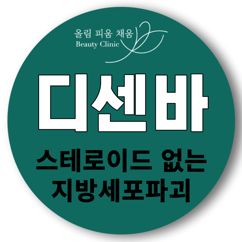 반영구 지방파괴 디센바 할인 가격 후기 전후 효과 정보 By 올피채의원올림피움채움 강남점 여신티켓 국내 1등 피부과 성형외과 플랫폼